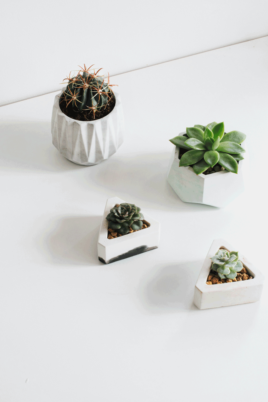 Green Memento | Live Houseplants Delivered to Your Door